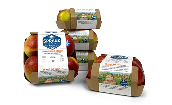 paper band - Banding Solutions for a sustainable world with Bandall